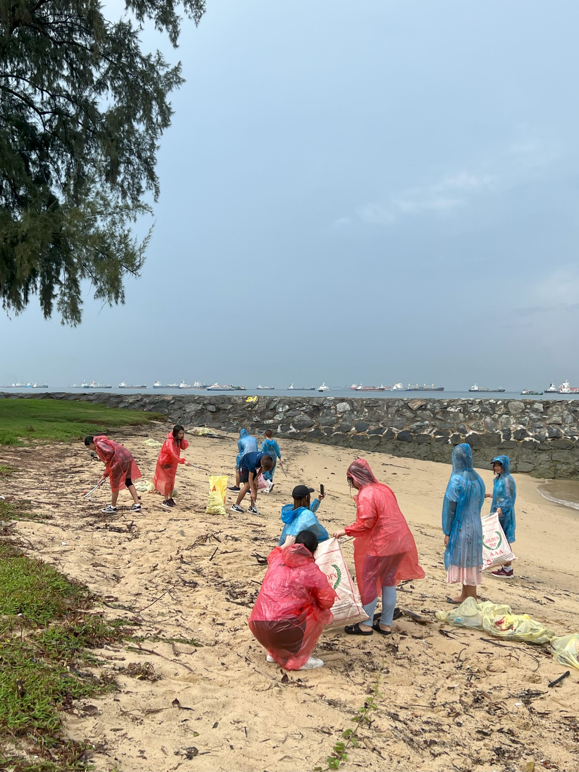 From Classrooms to Coastlines: NIM students Making Waves in Beach ...